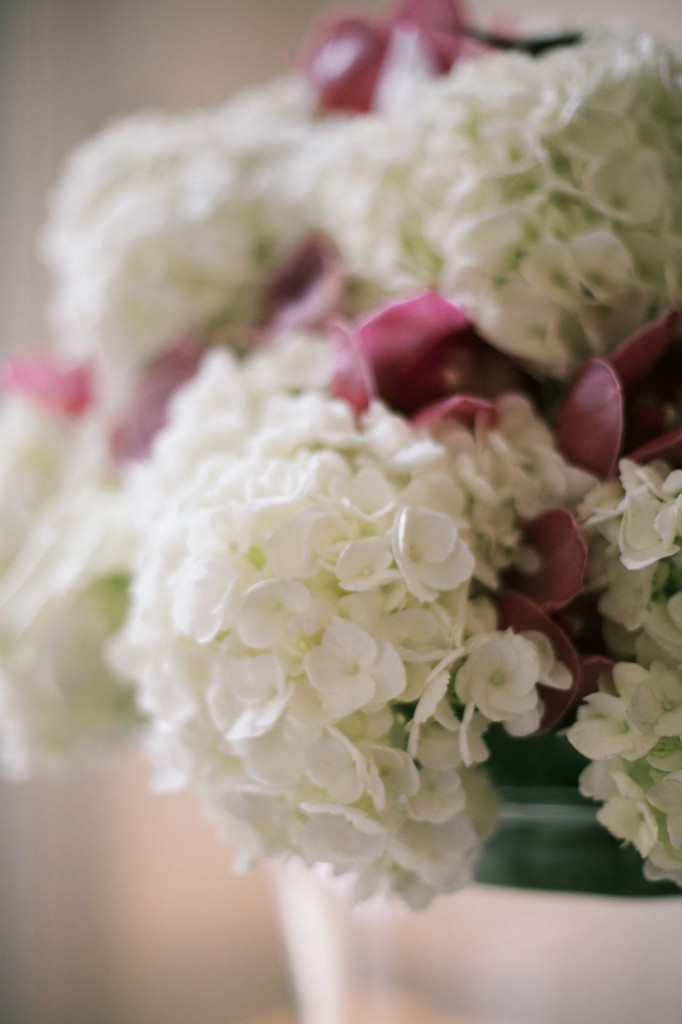 stemblog | the gorgeous world of stem flowers